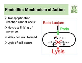 Antimicrobial agents Cotrimoxazole and Penicillin | PPT
