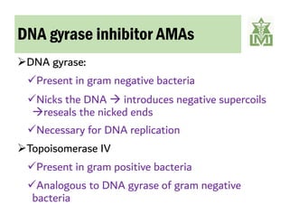 Antimicrobial agents Protein Synthesis Inhibitors and DNA gyrase ...