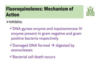 Antimicrobial agents Protein Synthesis Inhibitors and DNA gyrase ...