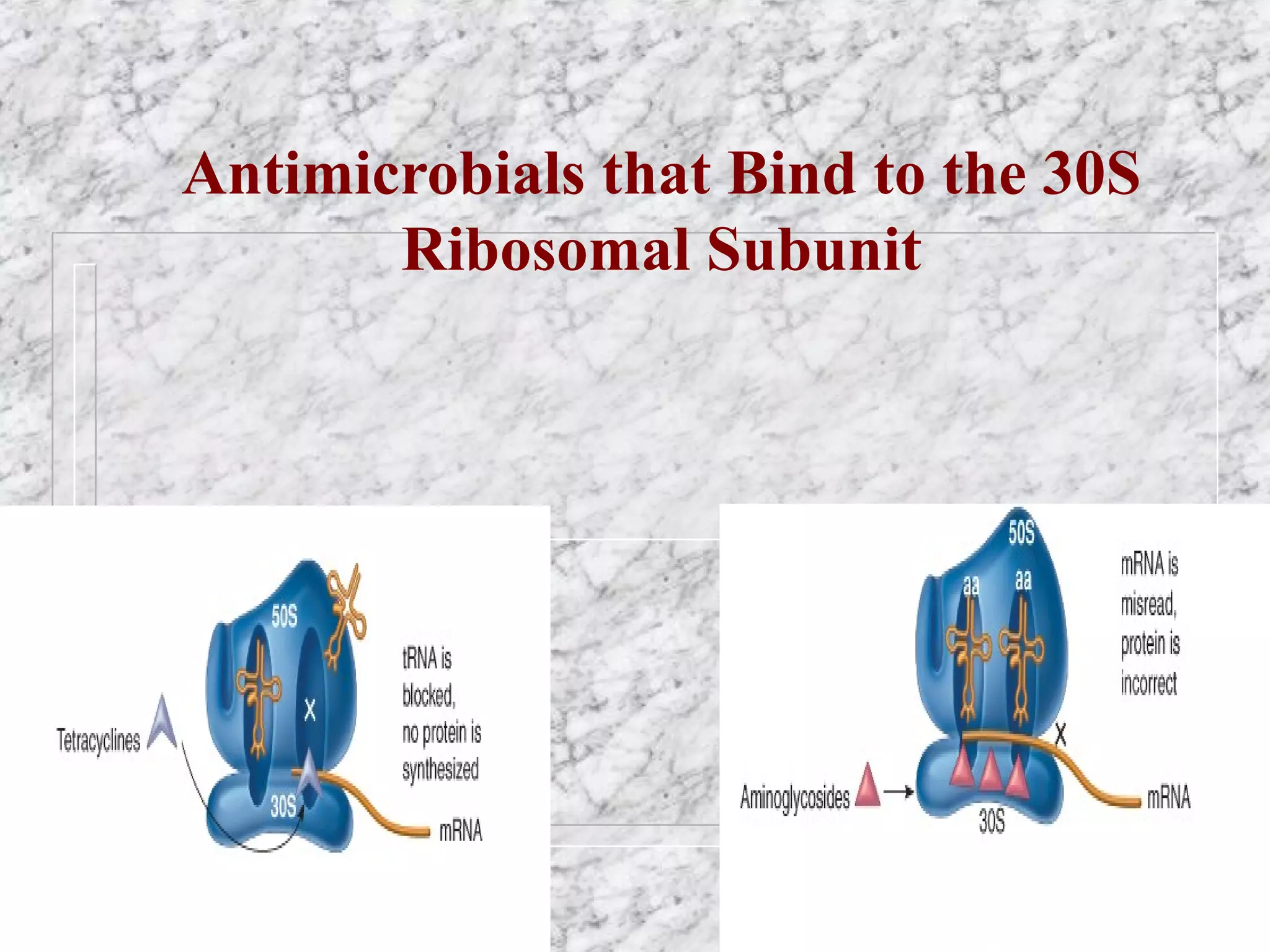 Antimicrobial agents 2 wafaa | PPT