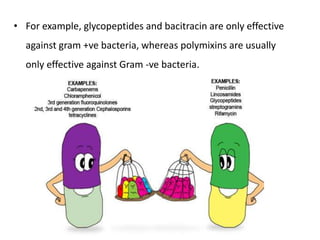 Antimicrobial chemotherapy | PPTX | Cancer | Diseases and Conditions