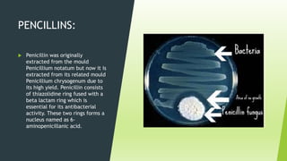 Anti microbial drugs | PPTX