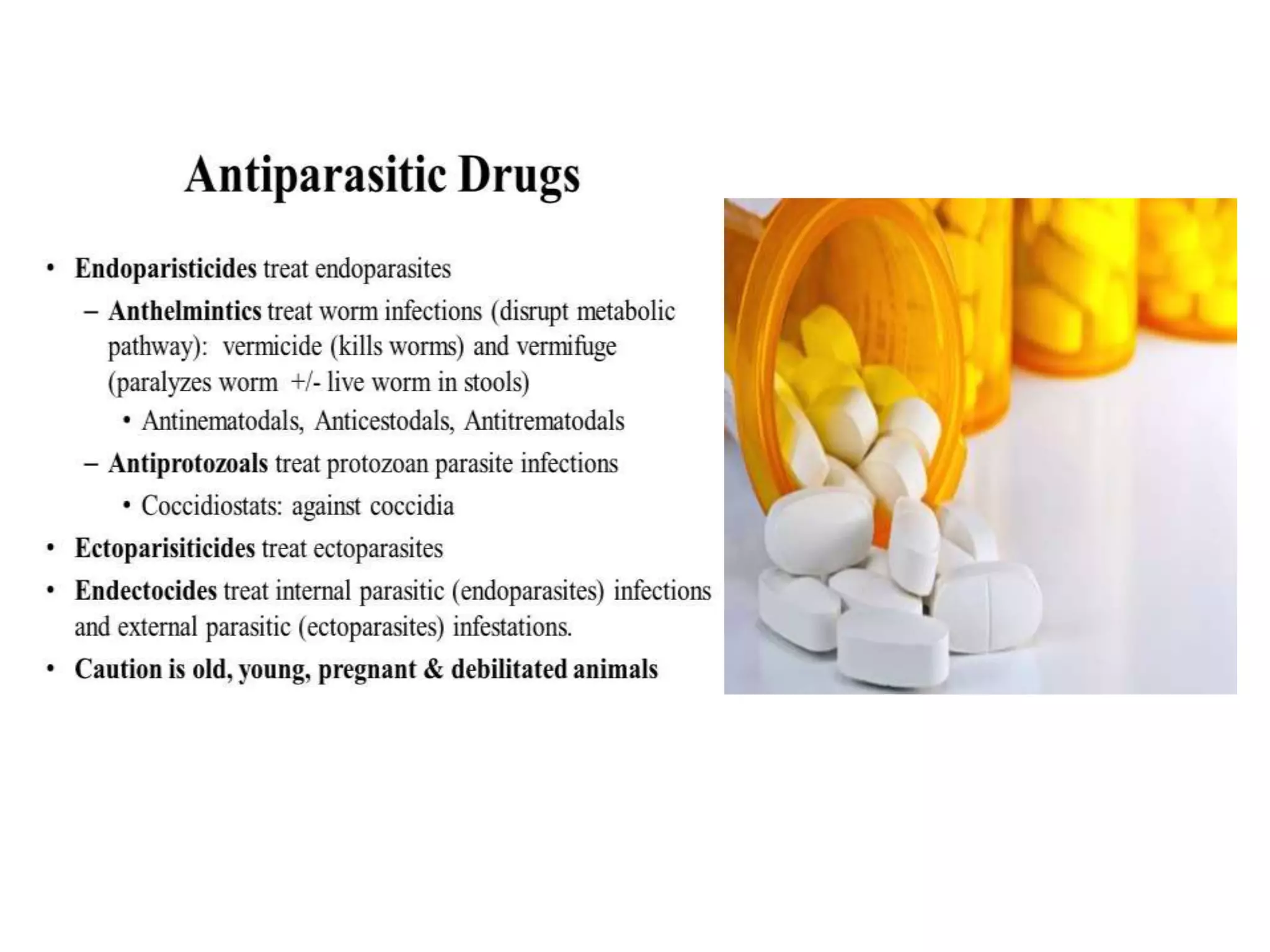 Antimicrobial drugs & mechanism of action | PPTX