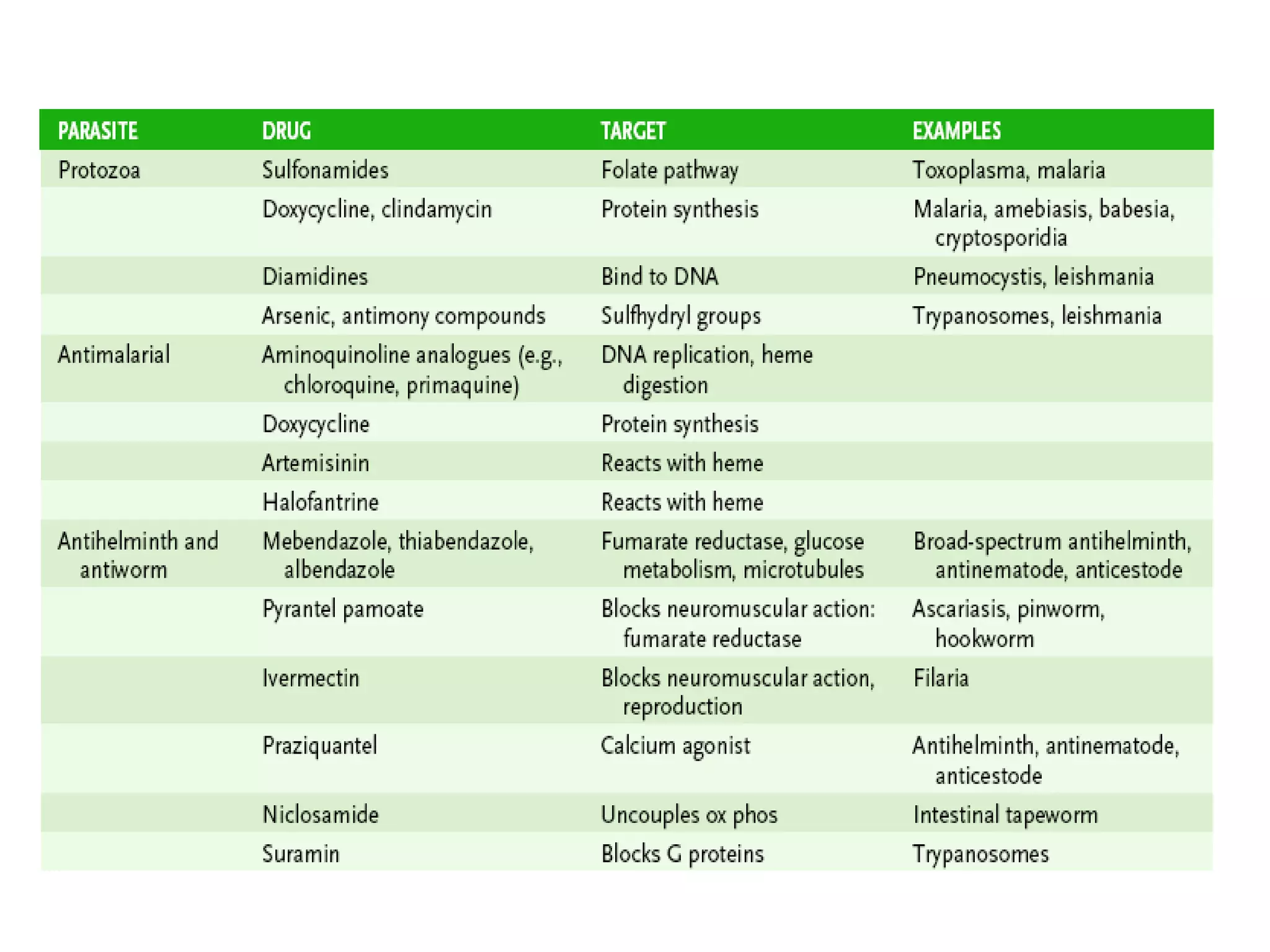 Antimicrobial drugs & mechanism of action | PPTX