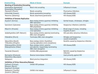 Antimicrobial drugs & mechanism of action | PPTX