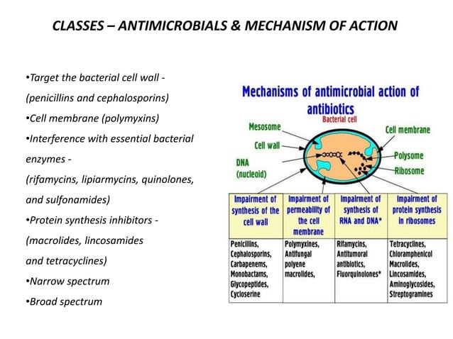 Antimicrobial drugs & mechanism of action | PPTX | Infectious Diseases ...
