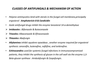 Antimicrobial drugs & mechanism of action | PPTX