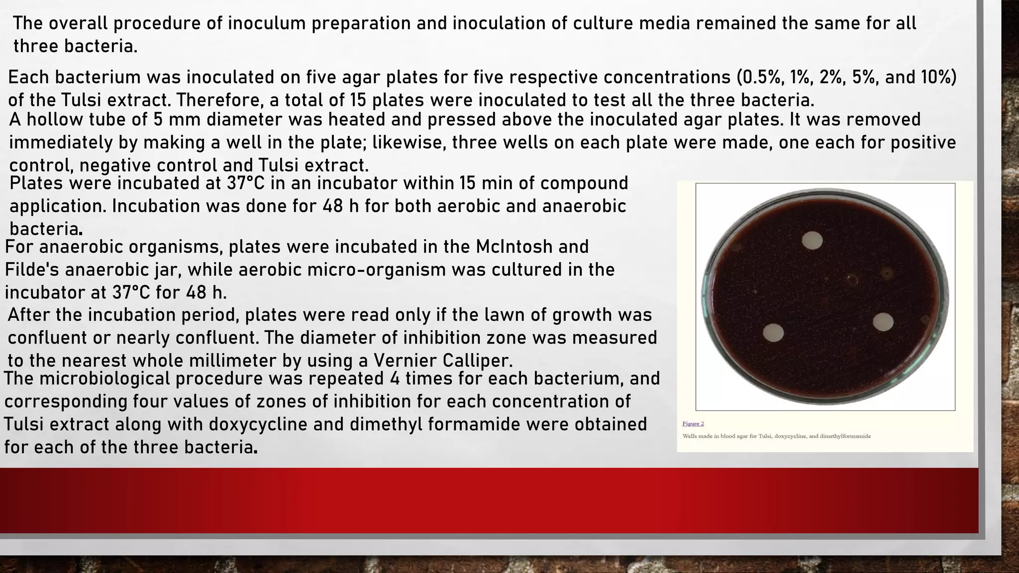 Antimicrobial efficacy of tulsi leaf extract on periodontal | PDF