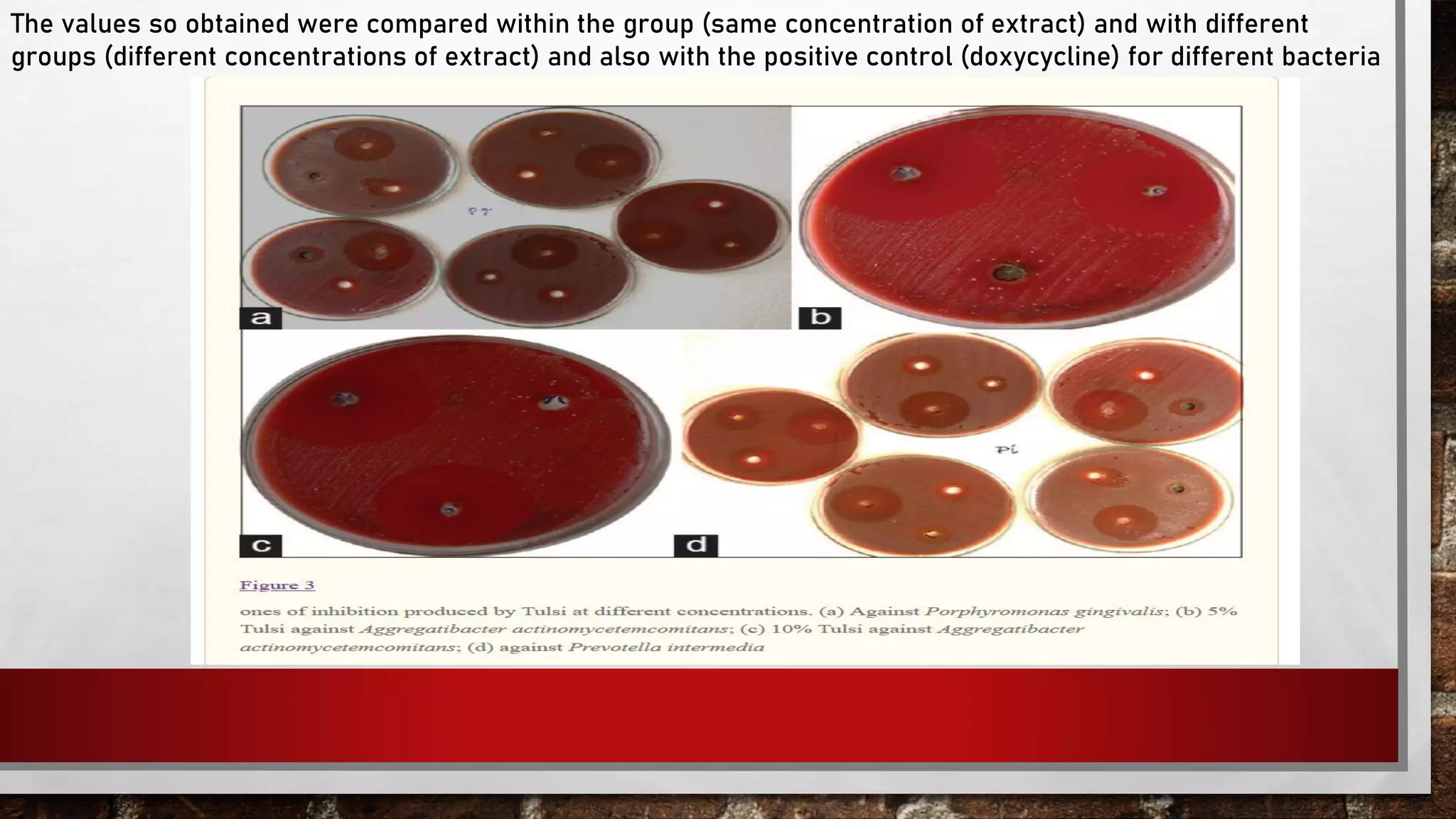 Antimicrobial efficacy of tulsi leaf extract on periodontal | PDF