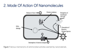 Advances in Nanomaterial with Antimicrobial Activity | PPTX