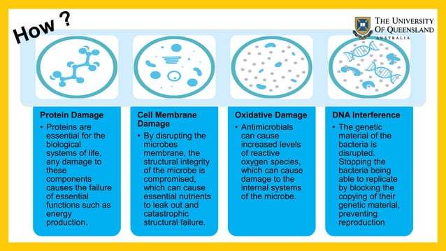 Antimicrobial packaging | PDF | Chemistry | Science