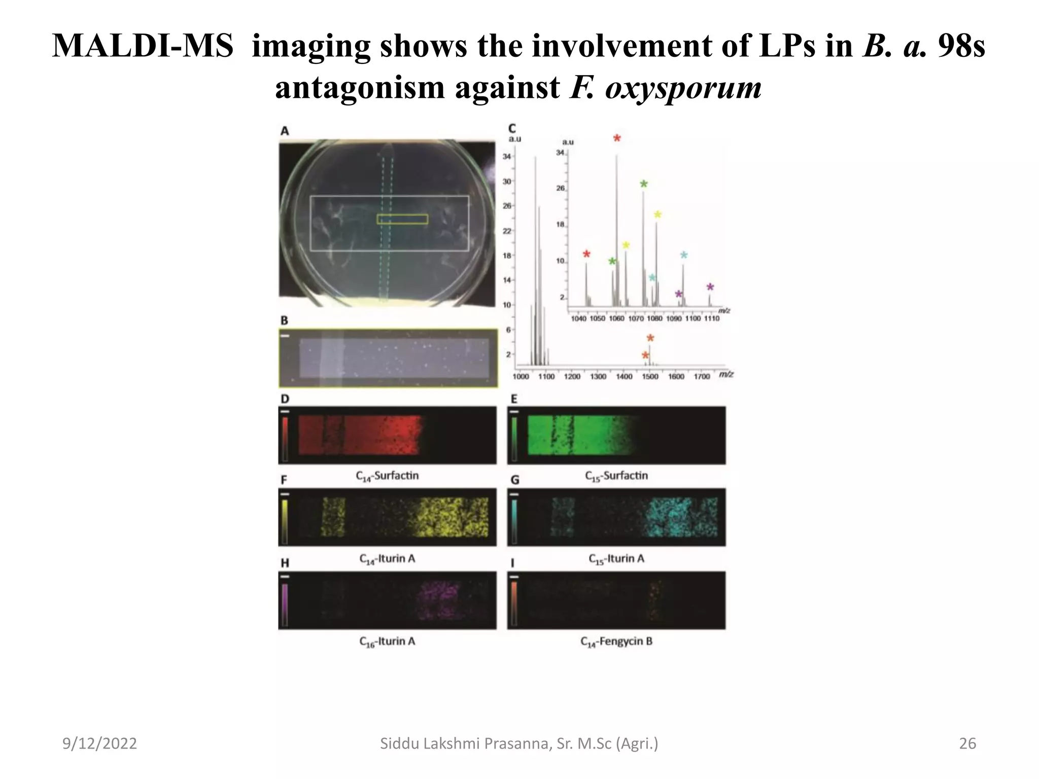 Anti microbial peptides.pdf