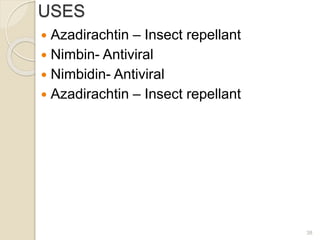 Antimicrobial plants | PPTX