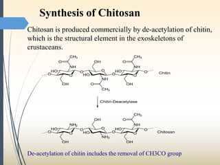 Antimicrobial polymer chitosan | PPTX