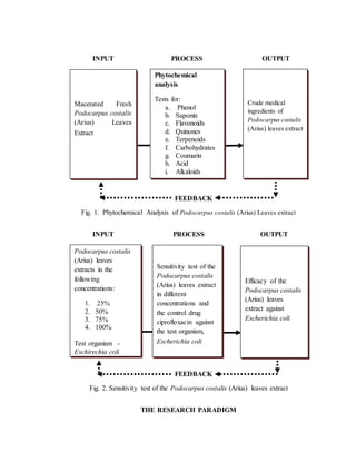 Antimicrobial properties of the podocarpus costalis (arius) leaf ...
