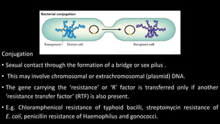 ANTIMICROBIAL RESISTANCE | PPTX