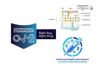 ANTI MICROBIAL RESISTANCE.pptx for medical students,doctor | PPTX