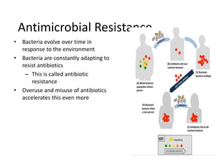 ANTI MICROBIAL RESISTANCE.pptx for medical students,doctor | PPTX
