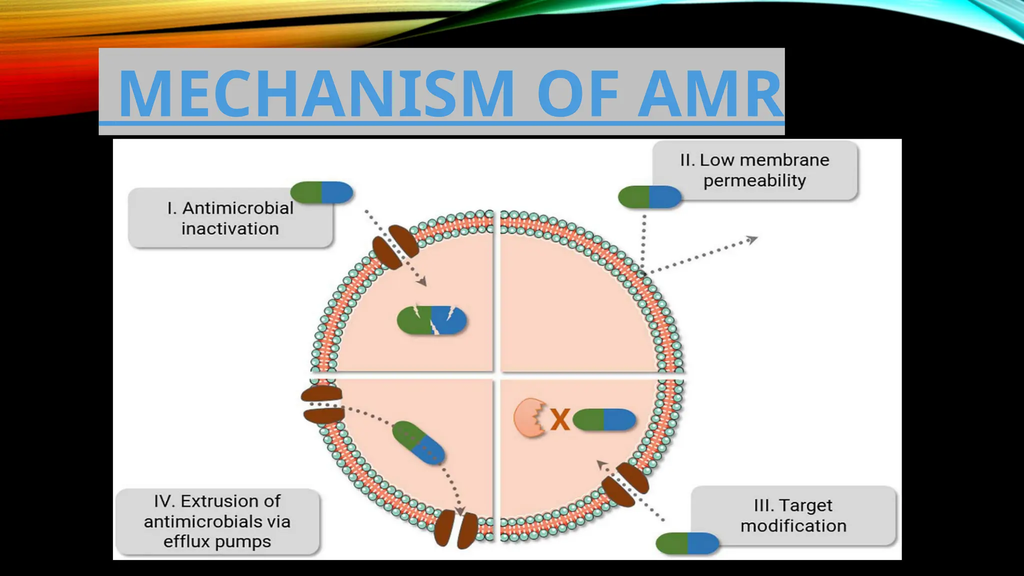 Antimicrobial resistance.pptx and mechanism of AMR | PPTX