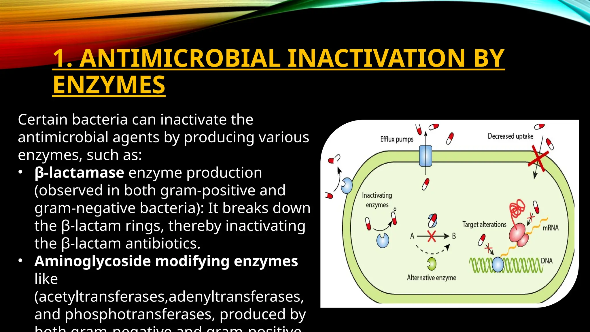Antimicrobial resistance.pptx and mechanism of AMR | PPTX