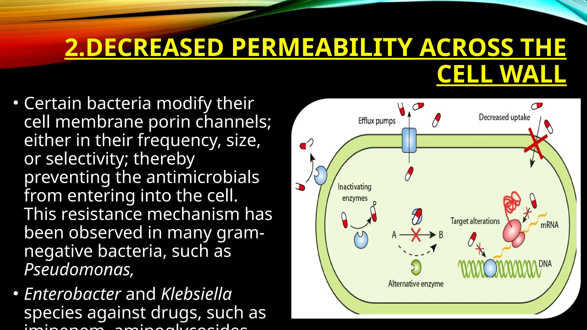 Antimicrobial resistance.pptx and mechanism of AMR | PPTX