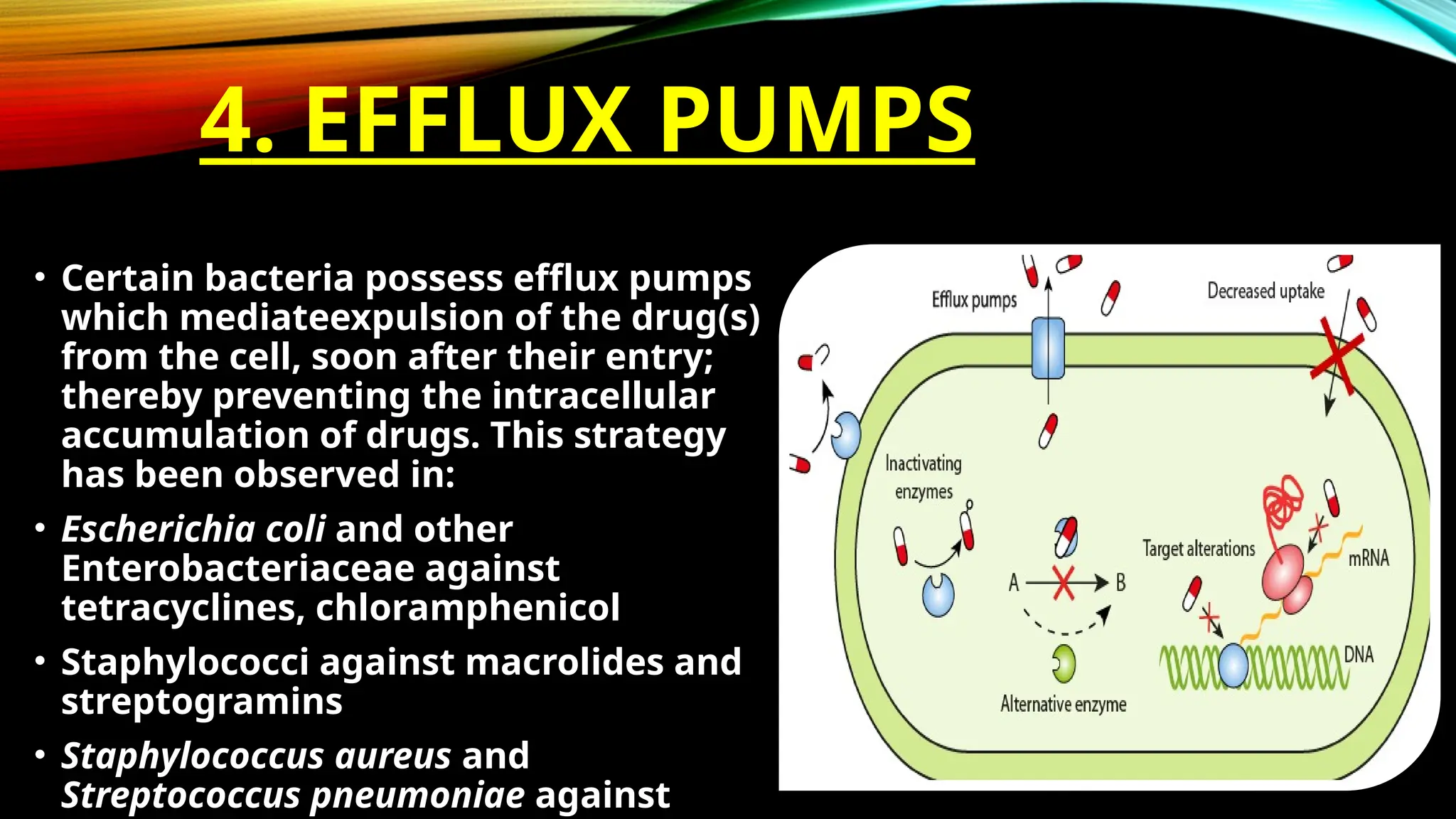 Antimicrobial resistance.pptx and mechanism of AMR | PPTX