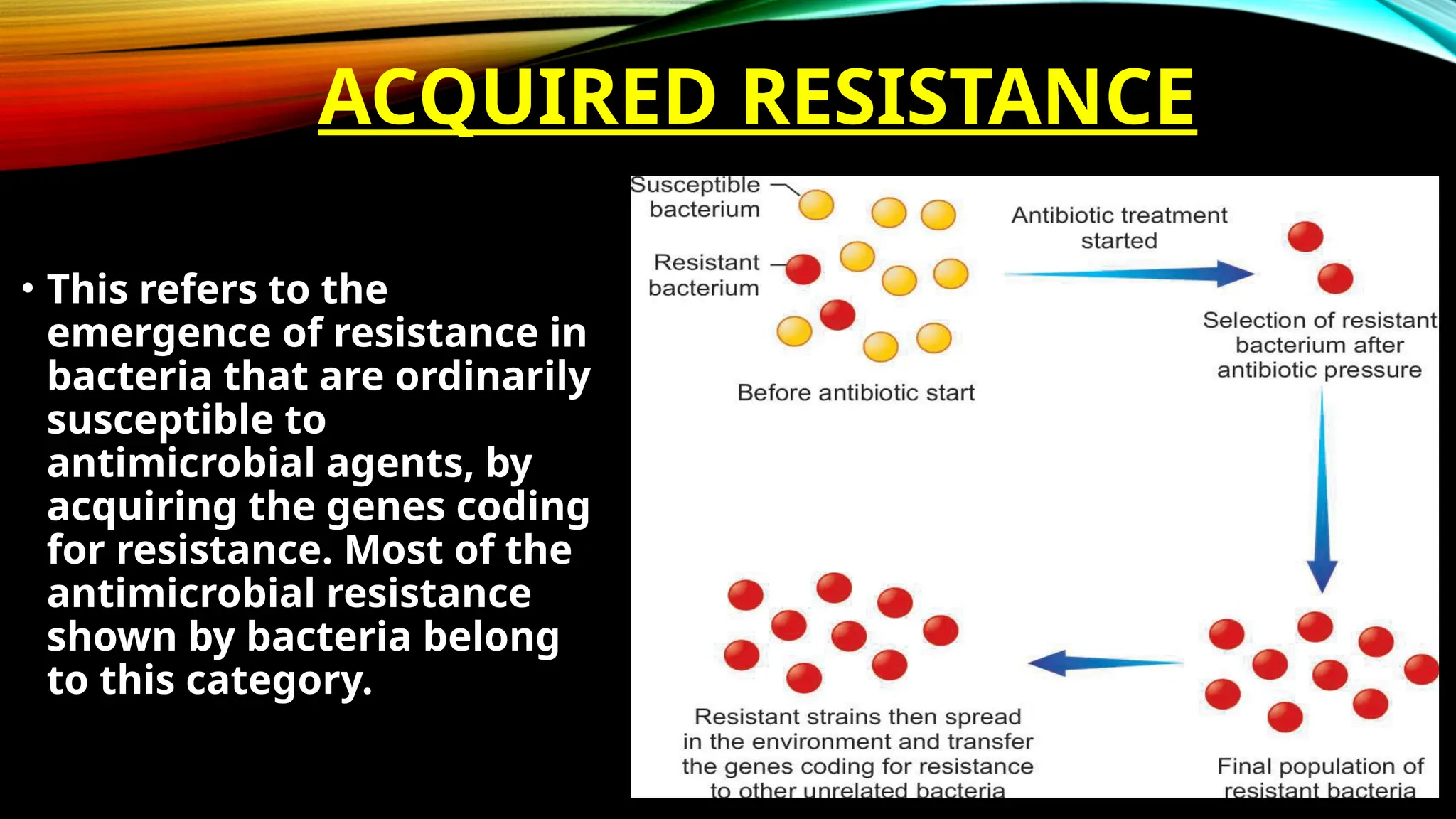 Antimicrobial resistance.pptx and mechanism of AMR | PPTX