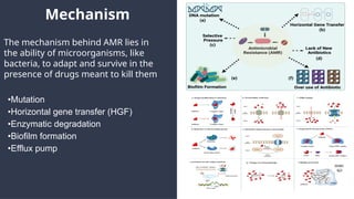 Antimicrobial resistance (AMR) and global burden | PPTX