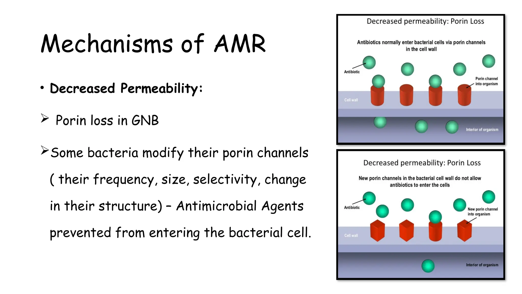 Antimicrobial Resistance.pptx.............. | PPTX