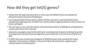 Antimicrobial Resistance and a case study on Tigecycline.pptx