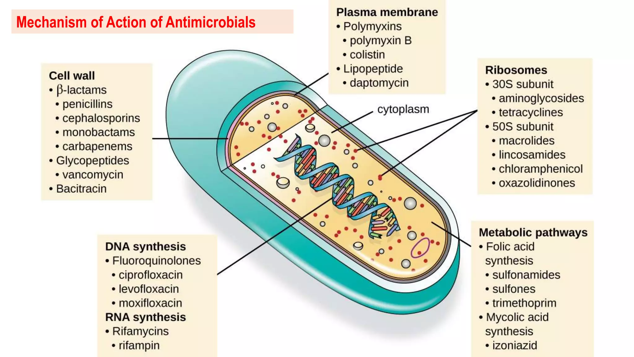 Antimicrobial resistance in bacteria | PPTX