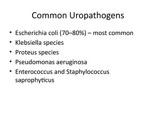 Antimicrobial_Resistance_in_UTI_Urology.pptx