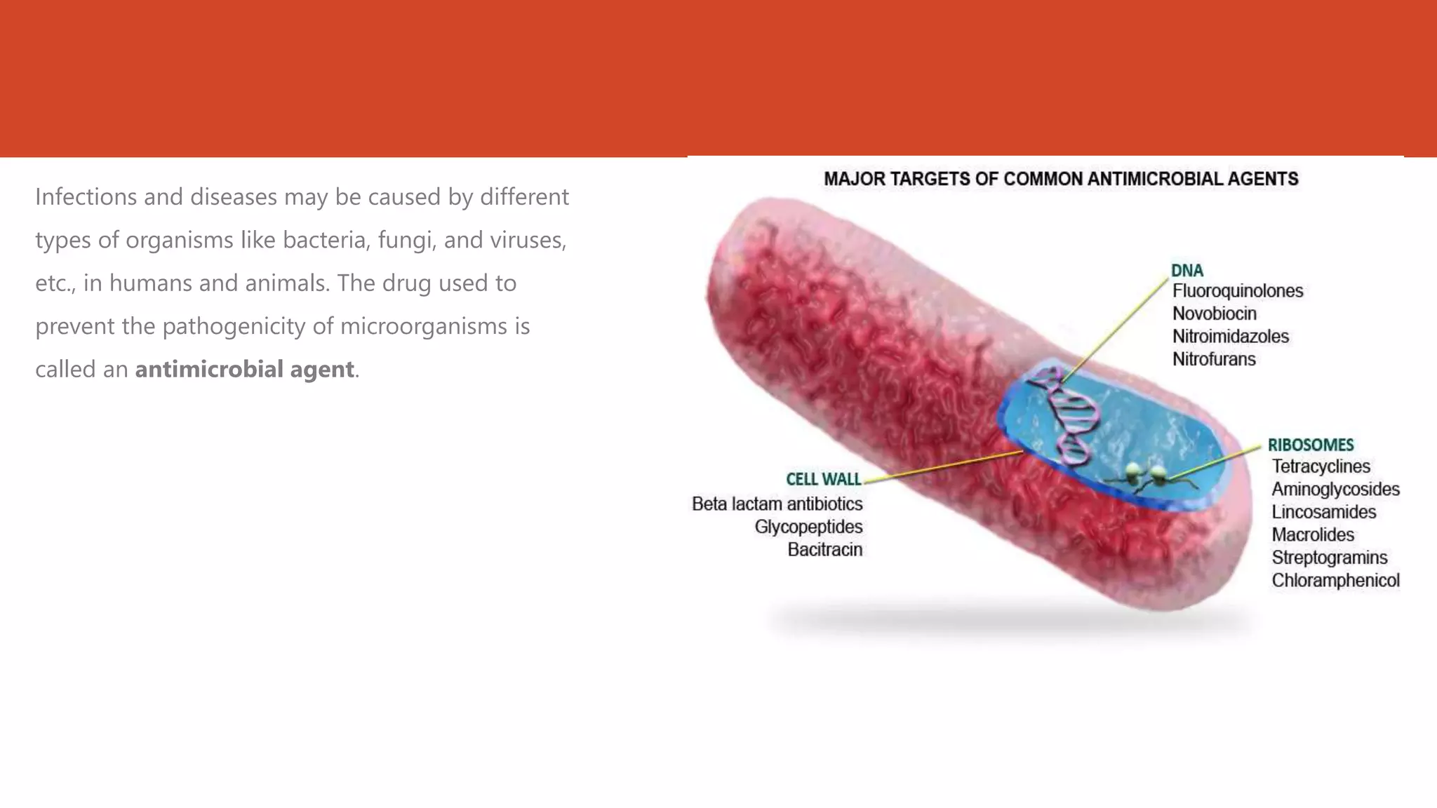 Antimicrobials | PPTX