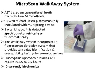 Antimicrobial sensitivity testing | PPTX | Infectious Diseases ...