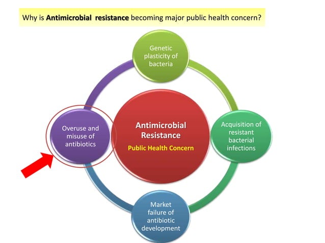 Antimicrobial stewardship | PPTX