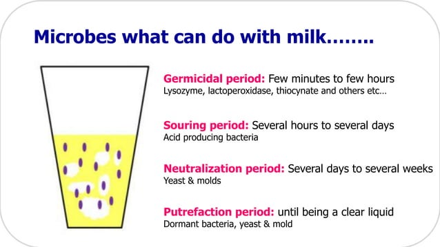 Antimicrobial substances in milk | PPTX | Infectious Diseases ...