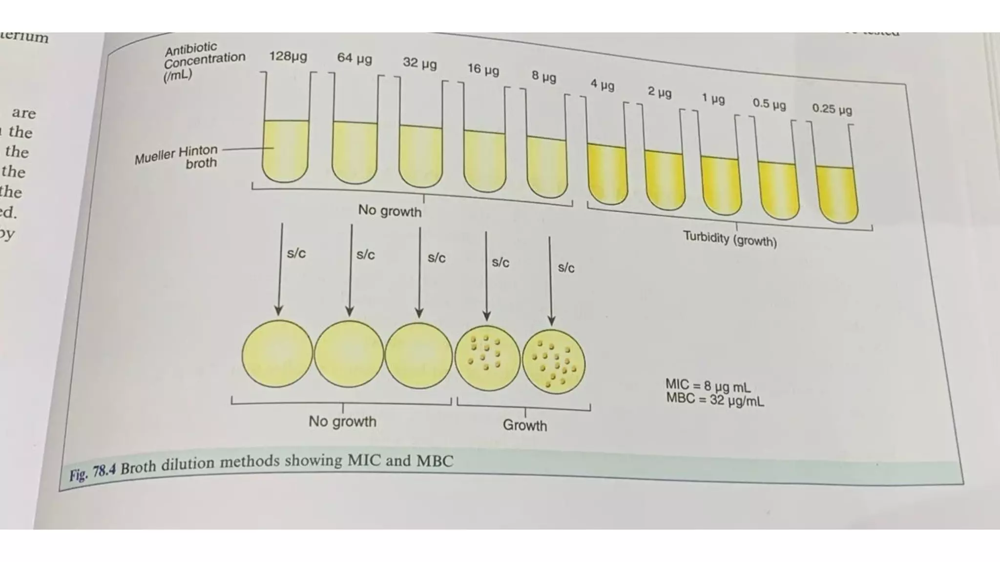 Antimicrobial susceptibility testing- Microbiology | PDF