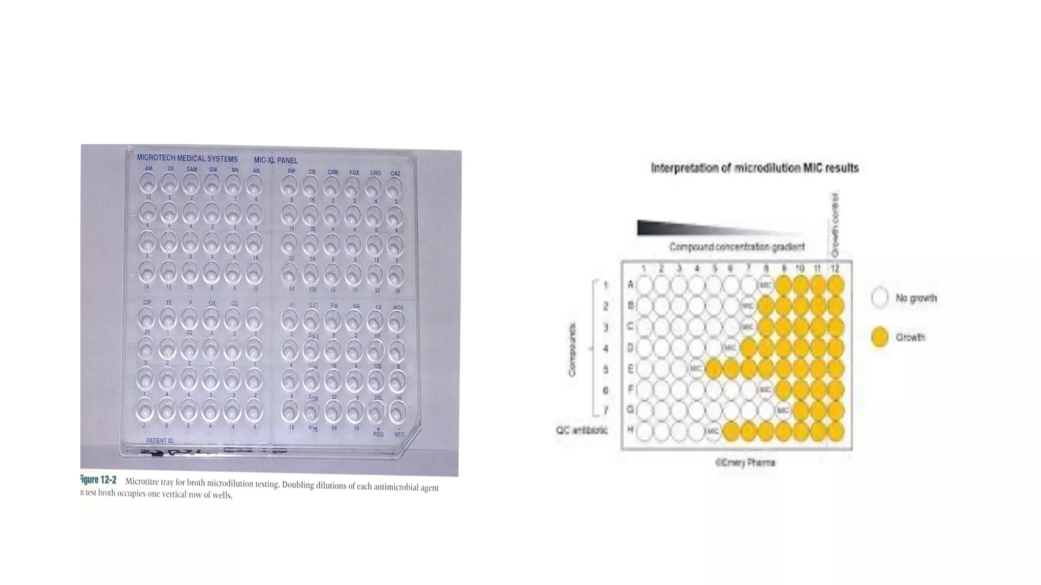 Antimicrobial susceptibility testing- Microbiology | PDF