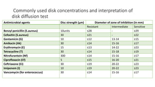 Antimicrobial susceptibility testing- Microbiology | PDF