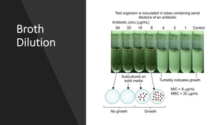 Antimicrobial susceptibility testing- Microbiology | PDF