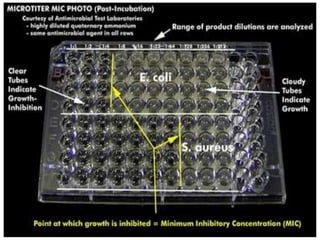 Antimicrobial susceptibility testing | PPTX
