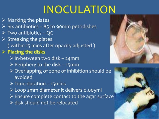 Antimicrobial susceptibility testing – disk diffusion methods | PPTX ...
