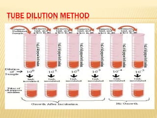 Antimicrobial therapy and drug sensitivity testing | PPT