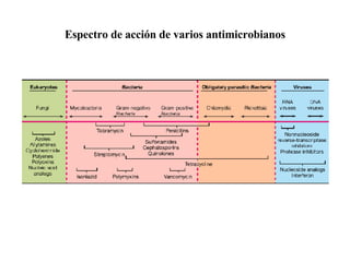 Antimicrobianos | PPT