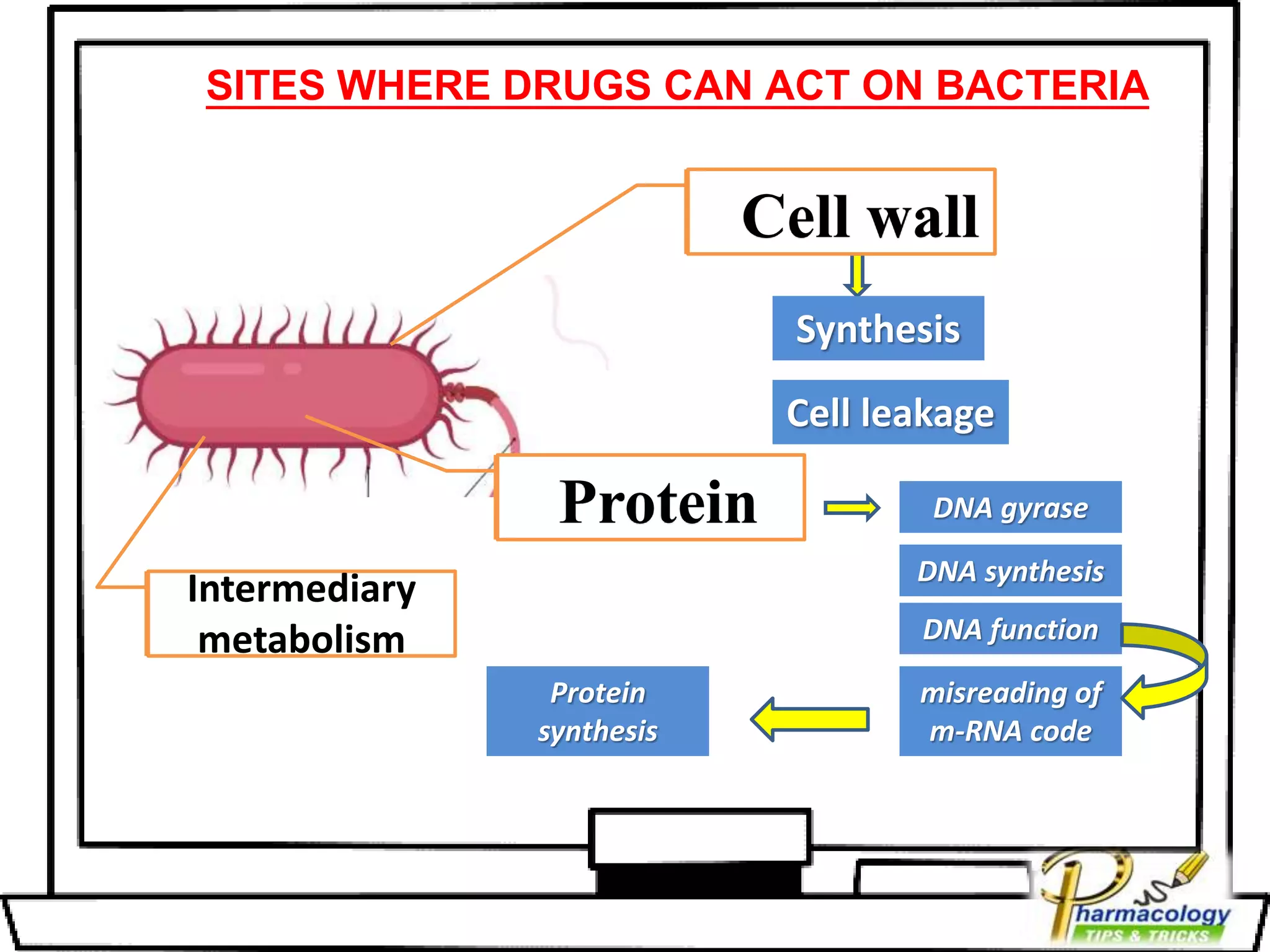 Antimicrobial Classification | PPTX