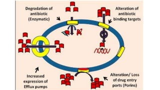 Antimicrobial resistance mechanism | PPTX