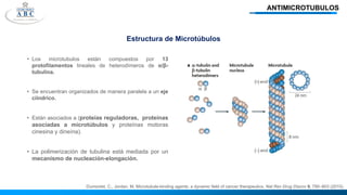 ANTIMICROTUBULOS.pptx