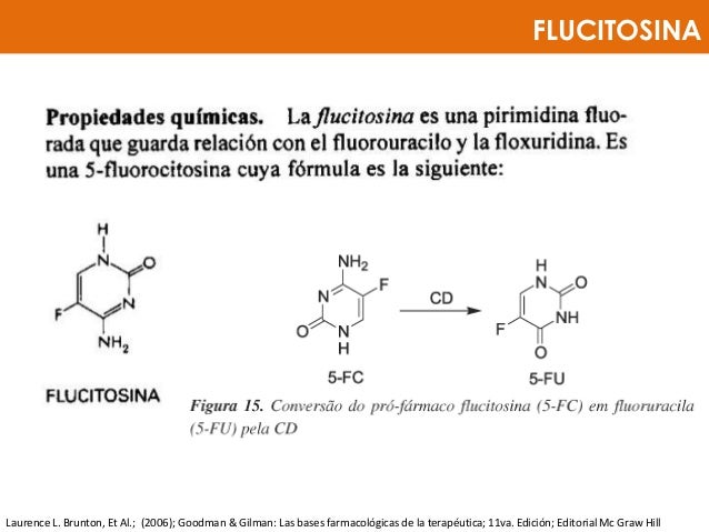 Antimicóticos Farmacología
