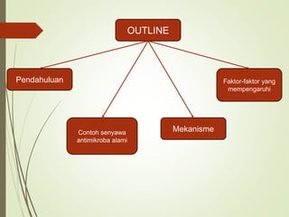 antimikroba dr. nanang.pptx