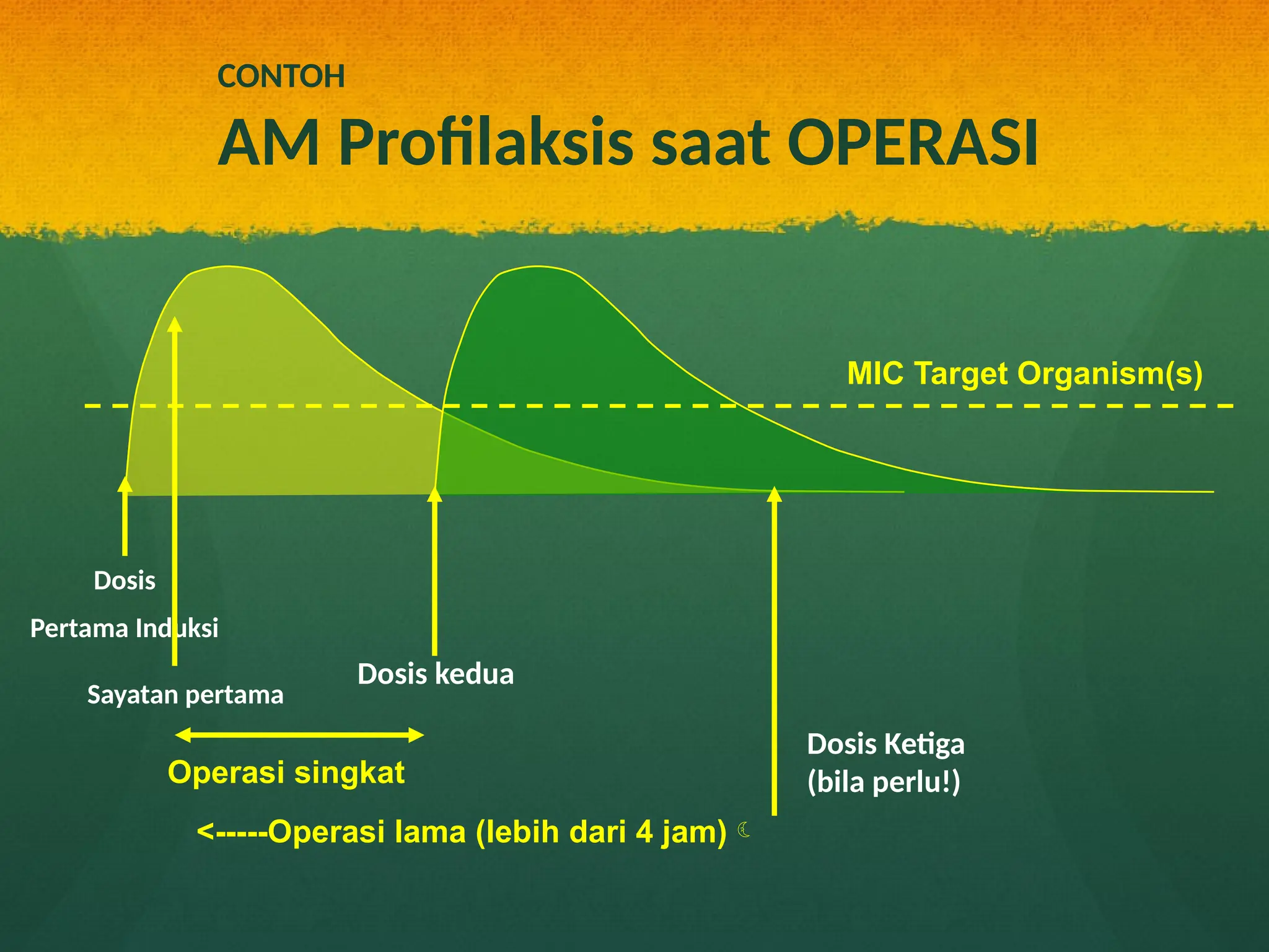 Penggunaan Antimikroba Yang Bijak Fktp Pptx